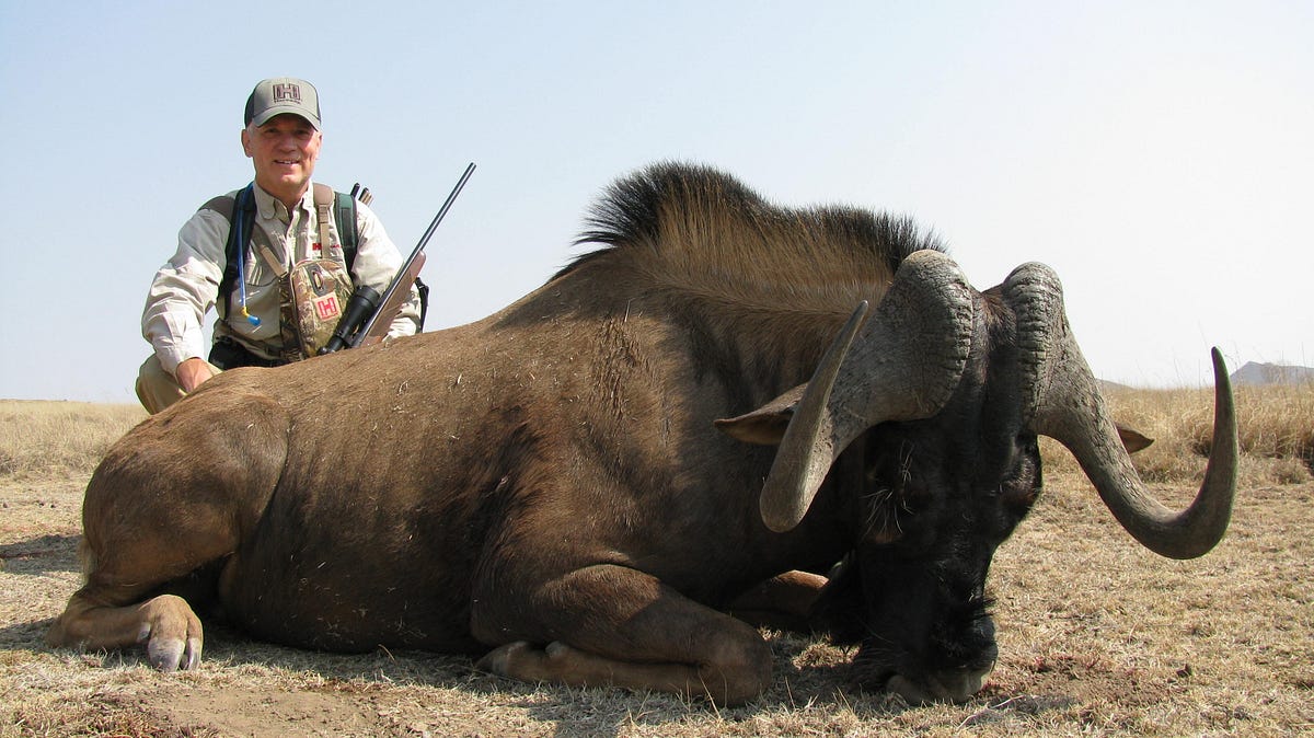 The 6.5 Creedmoor — An interview with Hornady’s senior ballistician ...