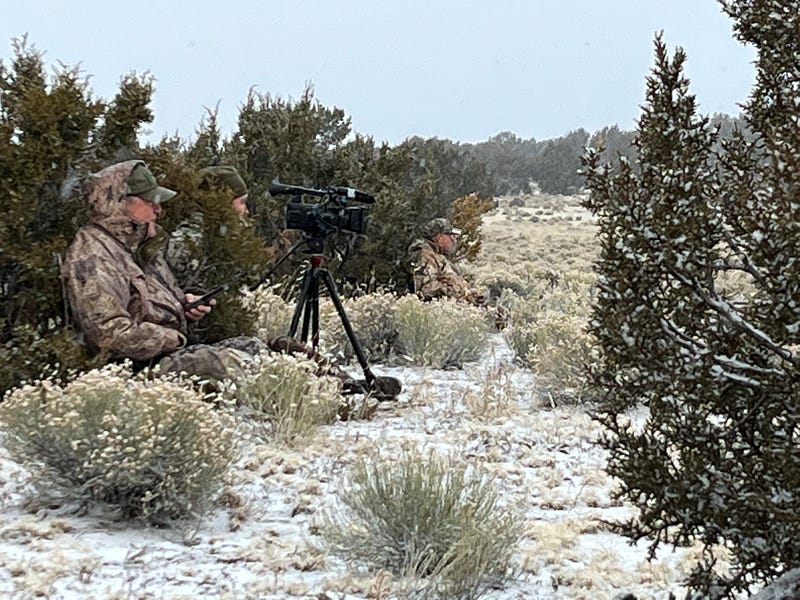 Coyotes? - Hornady Manufacturing, Inc