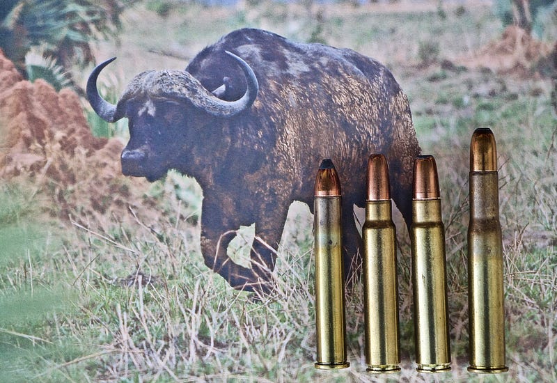 Big bore - Hornady Manufacturing, Inc