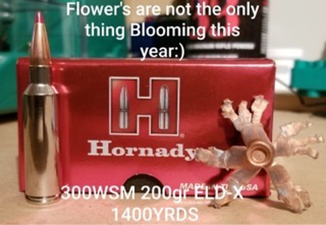Long Range - Hornady Manufacturing, Inc